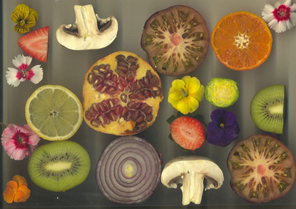 NATURE UNVEILED | Guggenheim Museum Bilbao